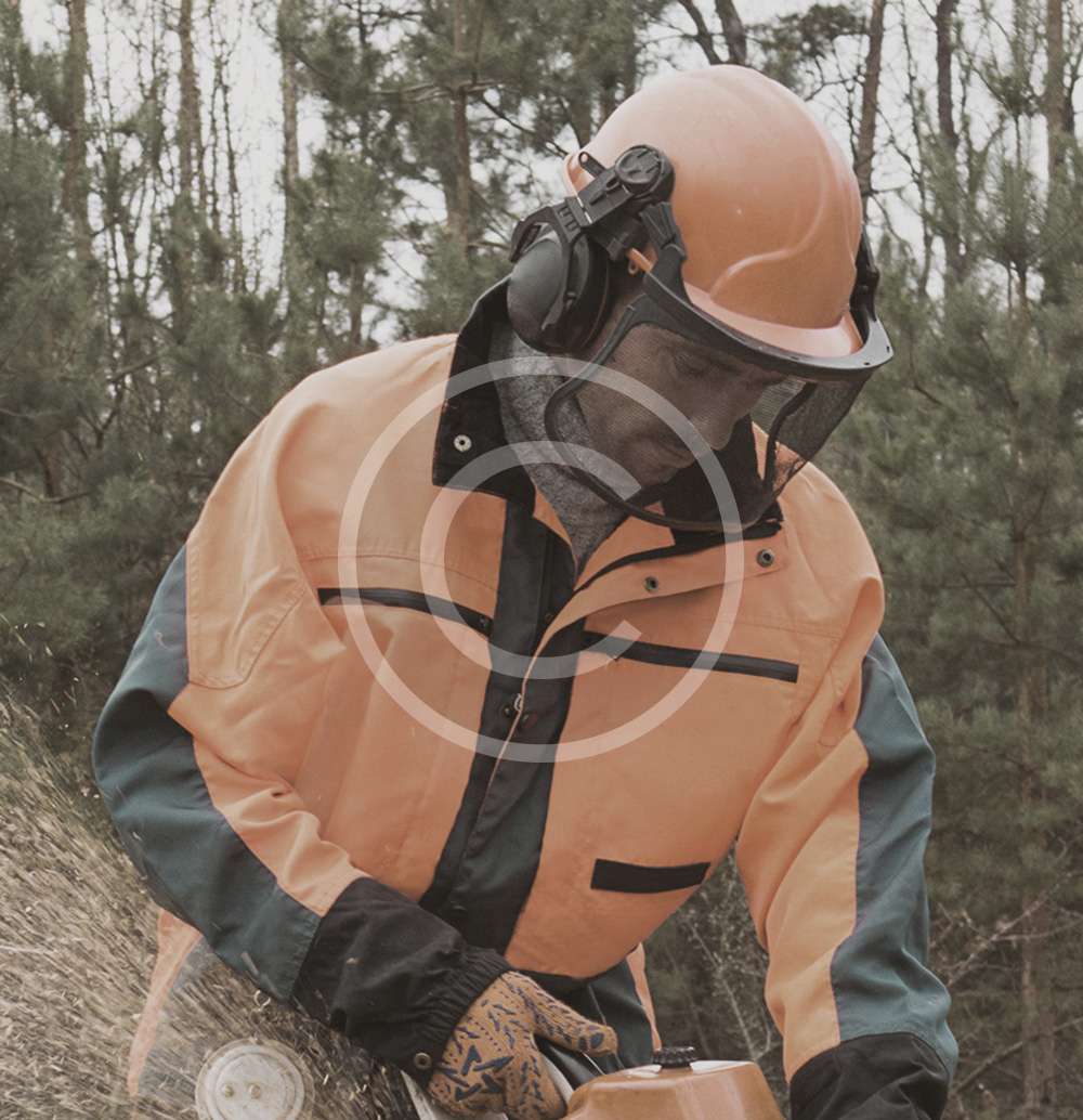 Robert Dowson - Timberline Lumber Company